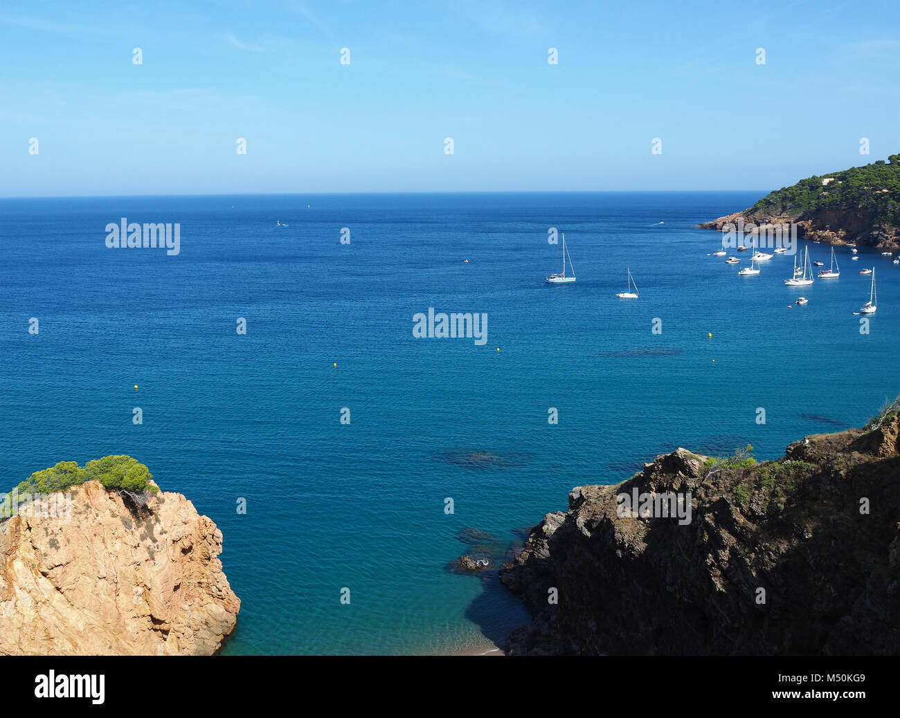 Beach pals hi-res stock photography and images - Alamy