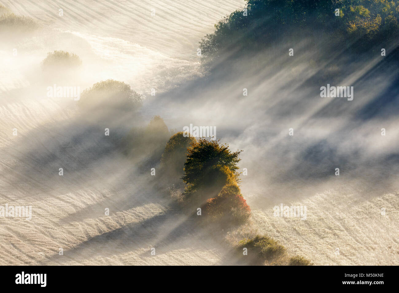 Sun rays in fog on a field Stock Photo - Alamy