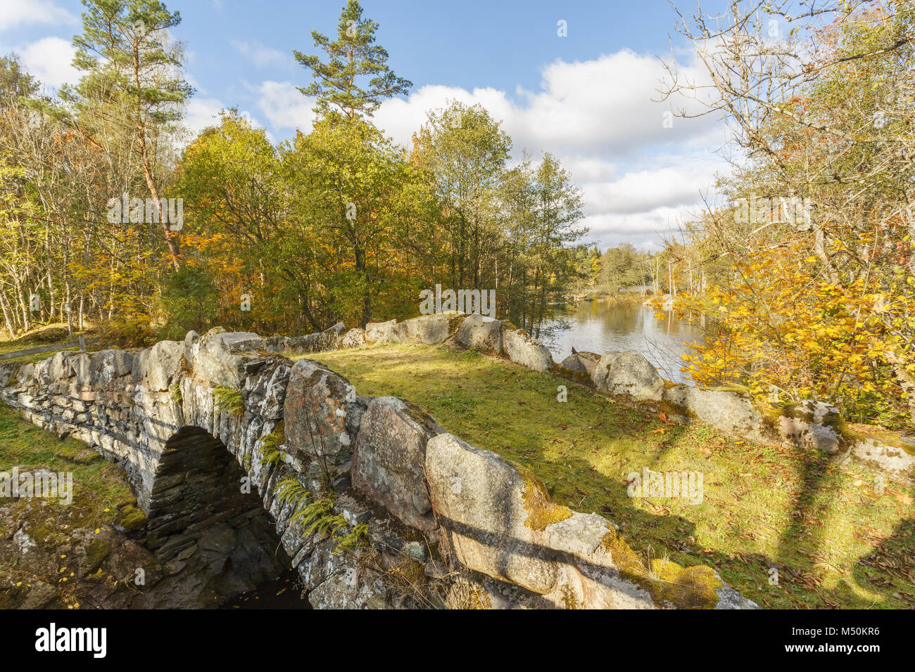 Old bridge over forest river hi-res stock photography and images - Alamy