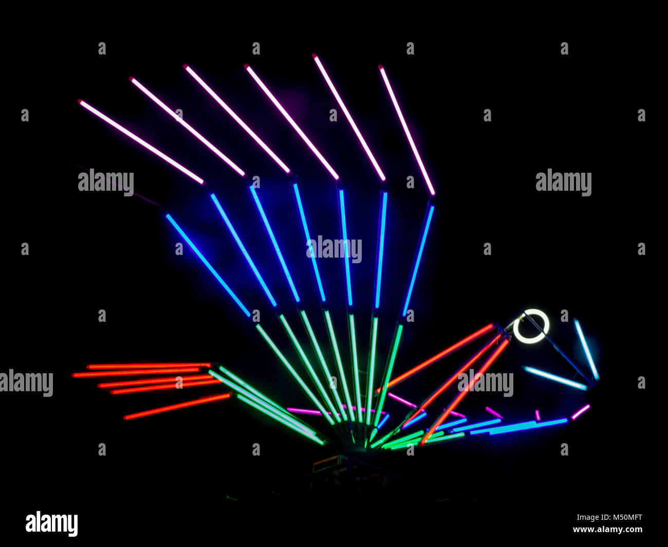 The colorful bird of neon lights. Lighting decoration on the street ...