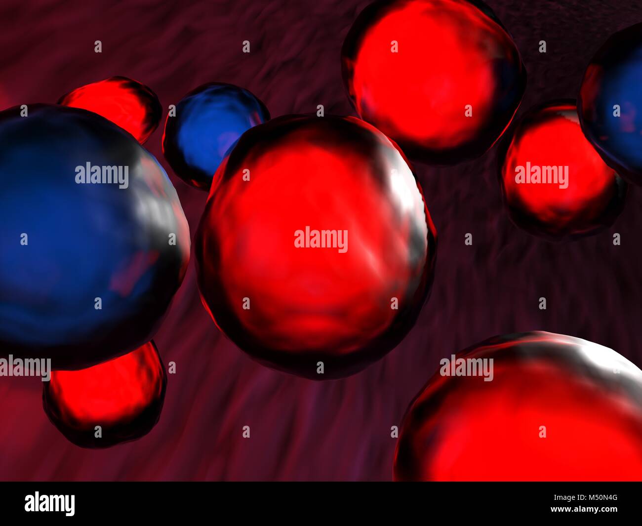 Blue and red cells flowing in the vein - 3D rendering Stock Photo - Alamy