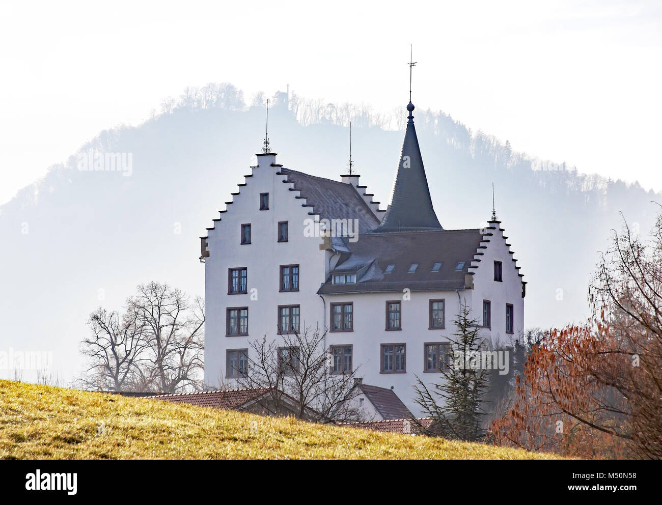 Krenkinger Castle Engen Stock Photo - Alamy
