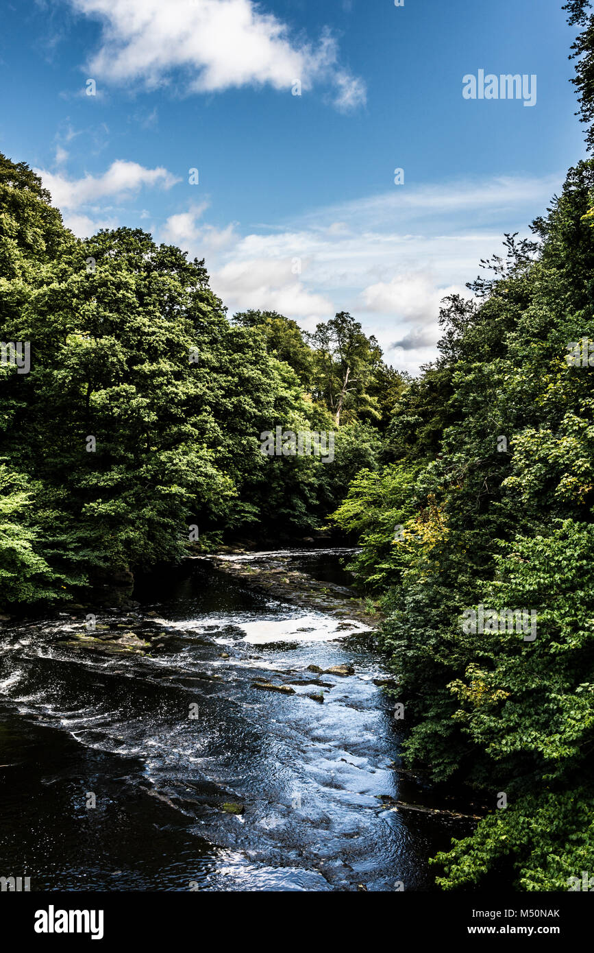The River Almond running through the Almondell & Calderwood Country ...