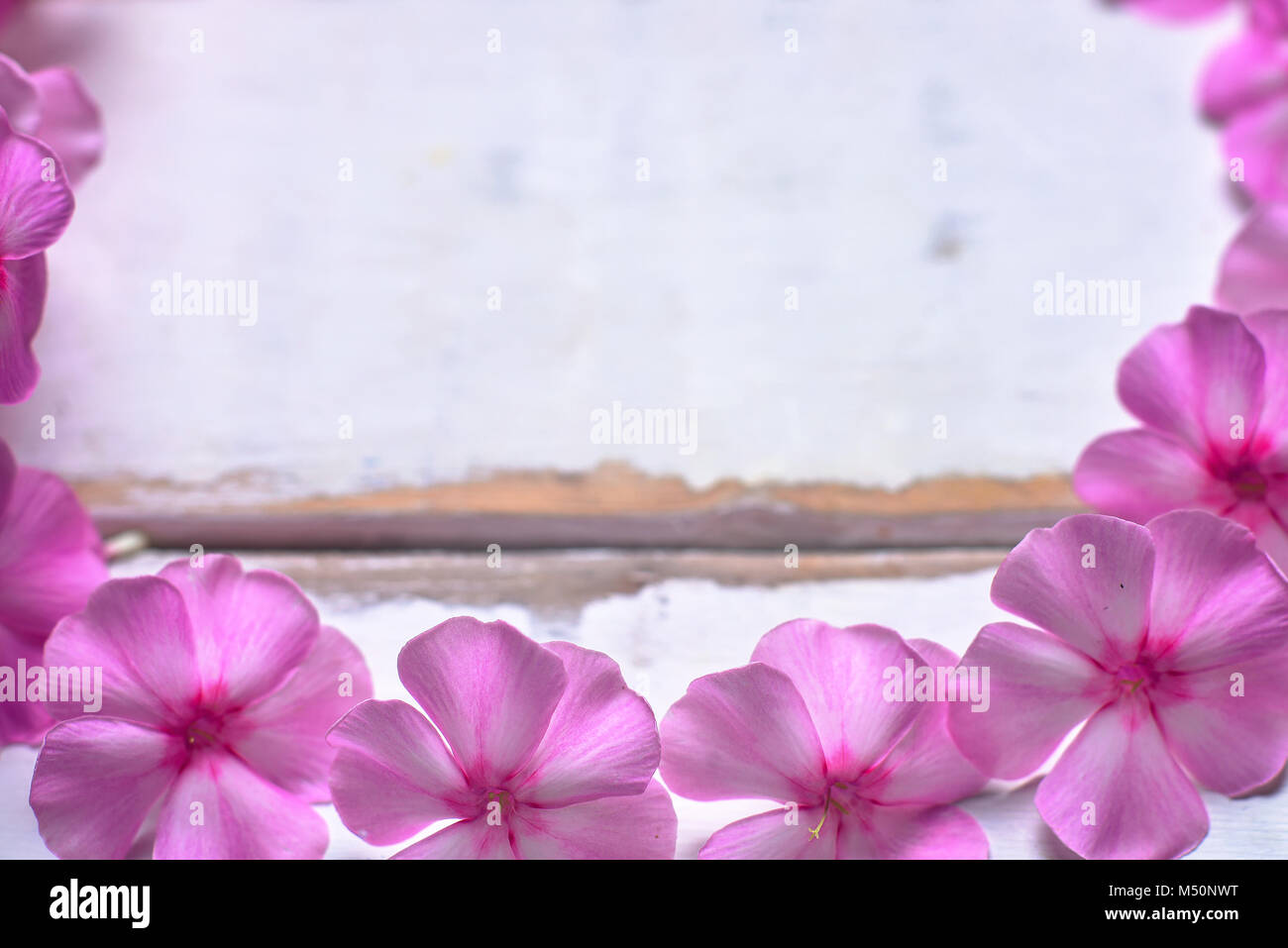 Frame of flowers laid out on the table Stock Photo - Alamy