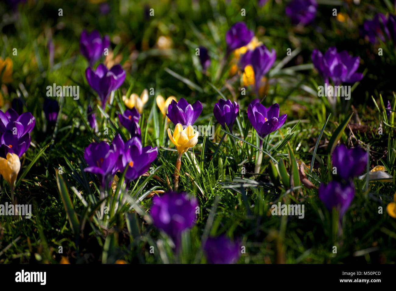 Appear suddenly hi-res stock photography and images - Alamy