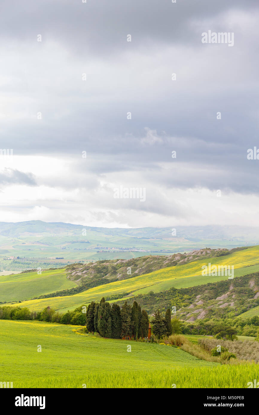 View of a valley of fields and cypress trees Stock Photo - Alamy