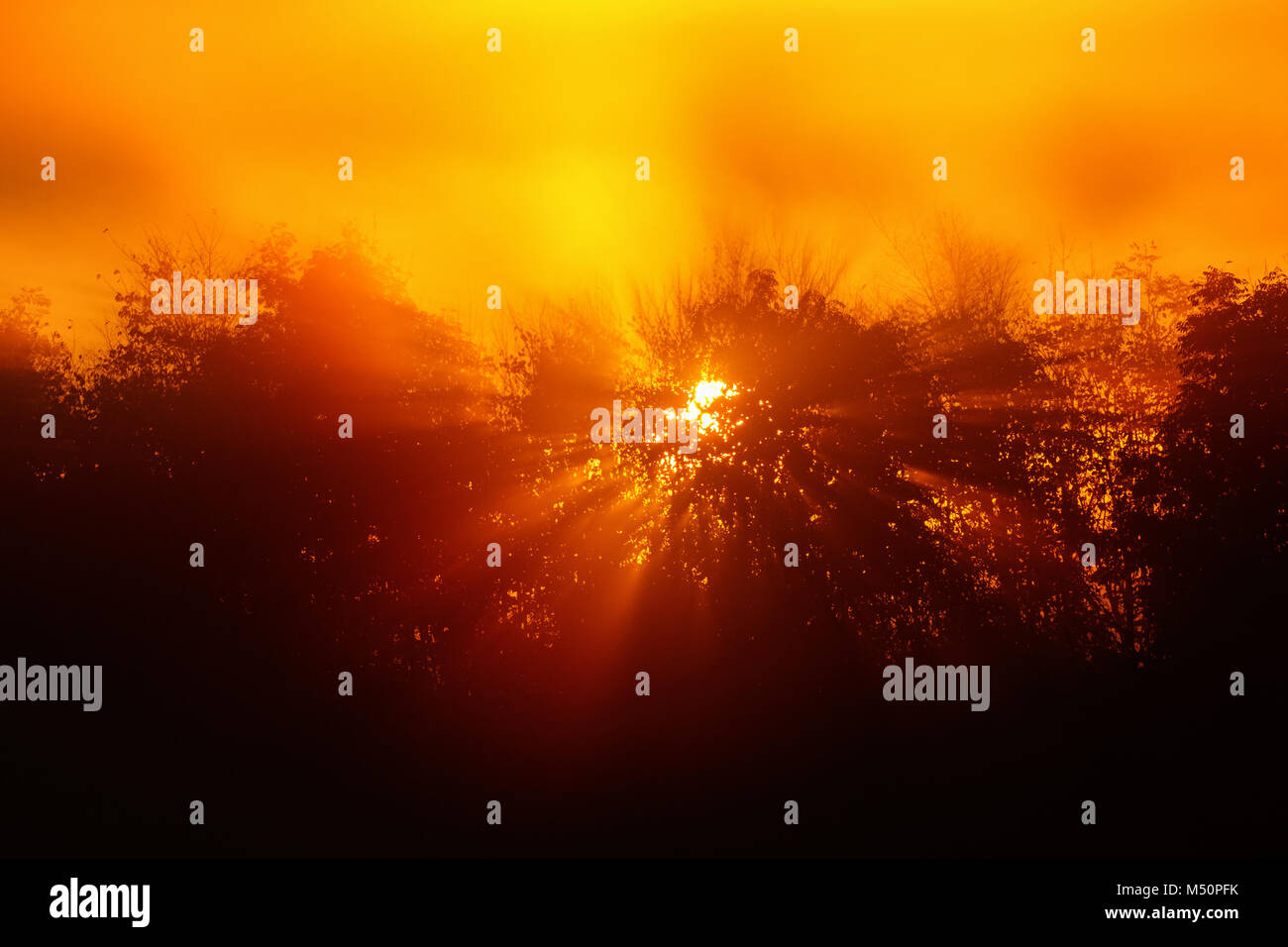 Sun shining through fog hi-res stock photography and images - Alamy