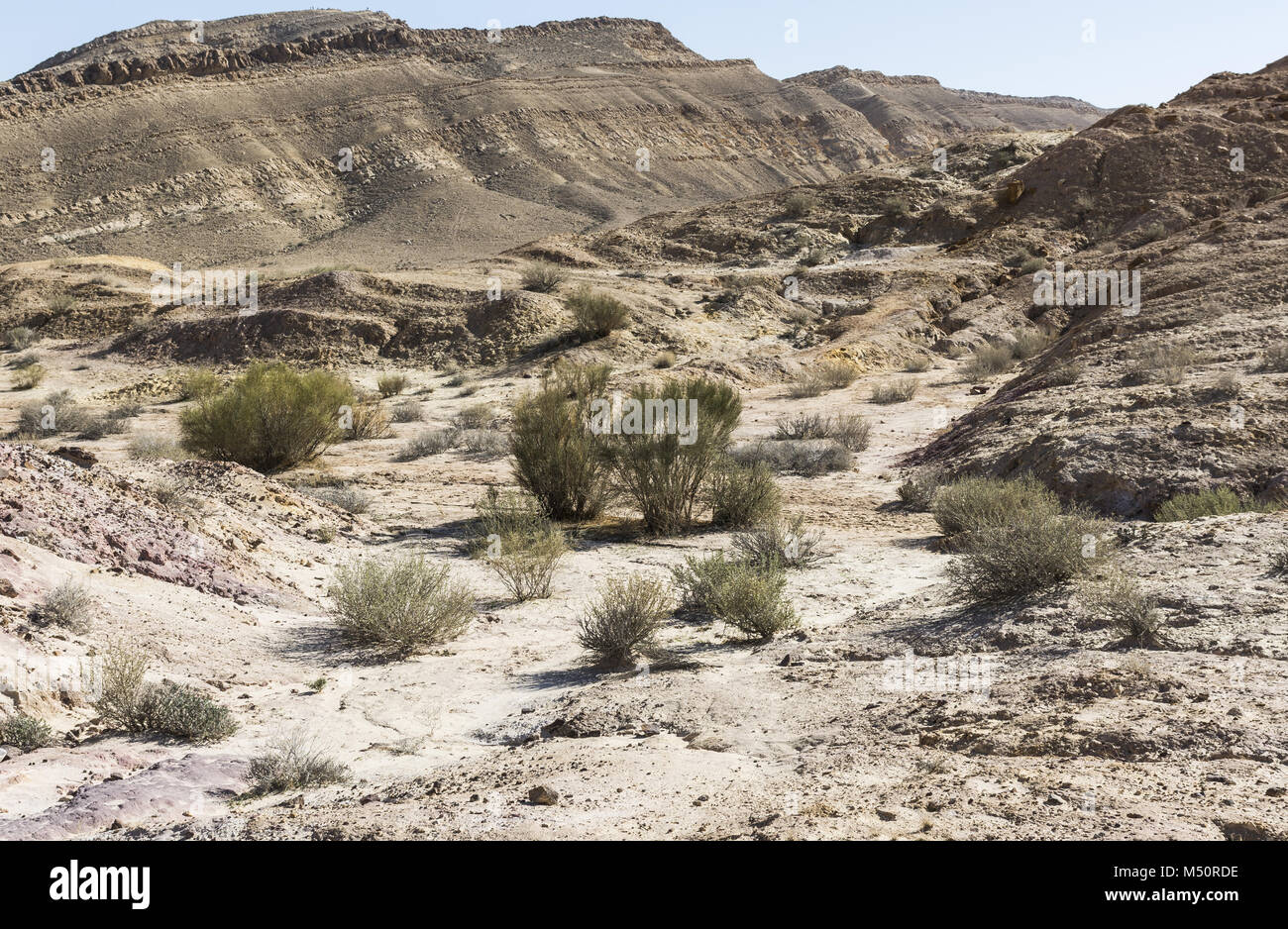 Landscape of the desert in Israel Stock Photo - Alamy
