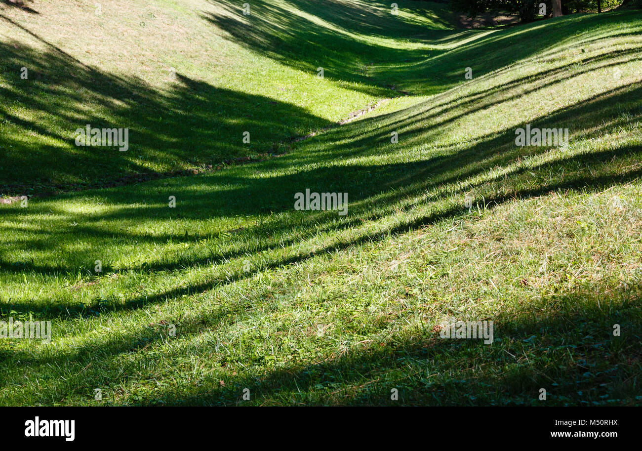 Shadows grass lawn texture hi-res stock photography and images - Alamy