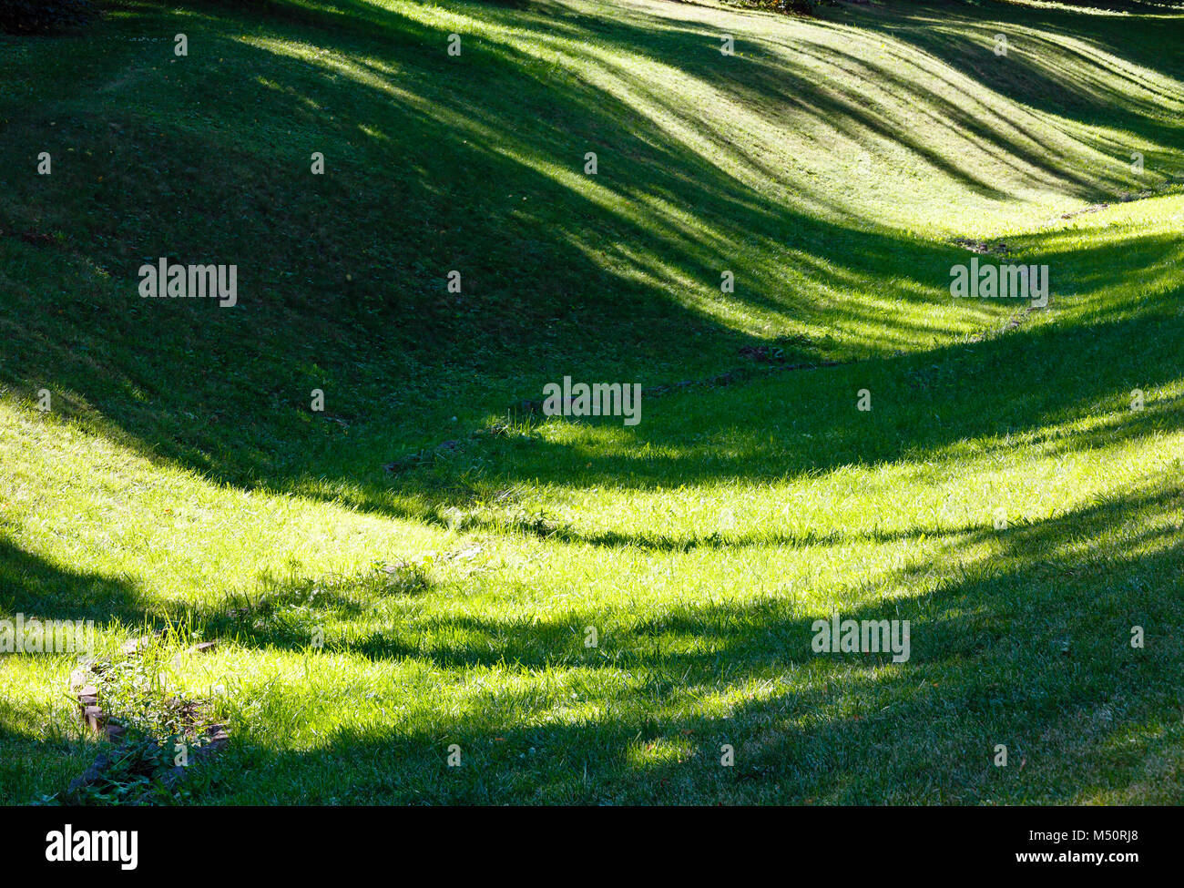 Shadows grass lawn texture hi-res stock photography and images - Alamy