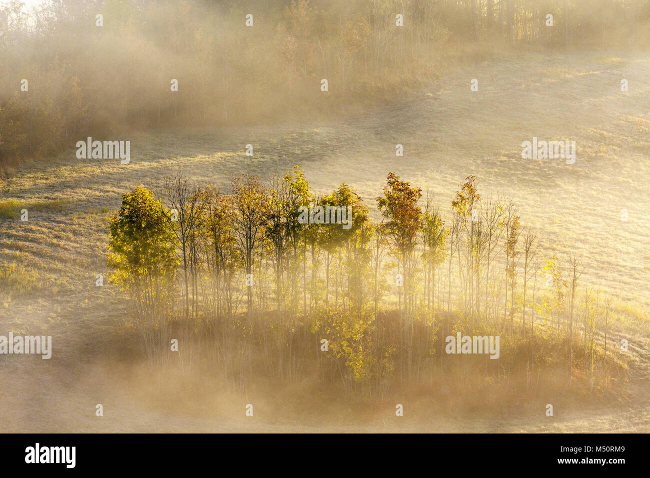 Shadow in mist hi-res stock photography and images - Alamy