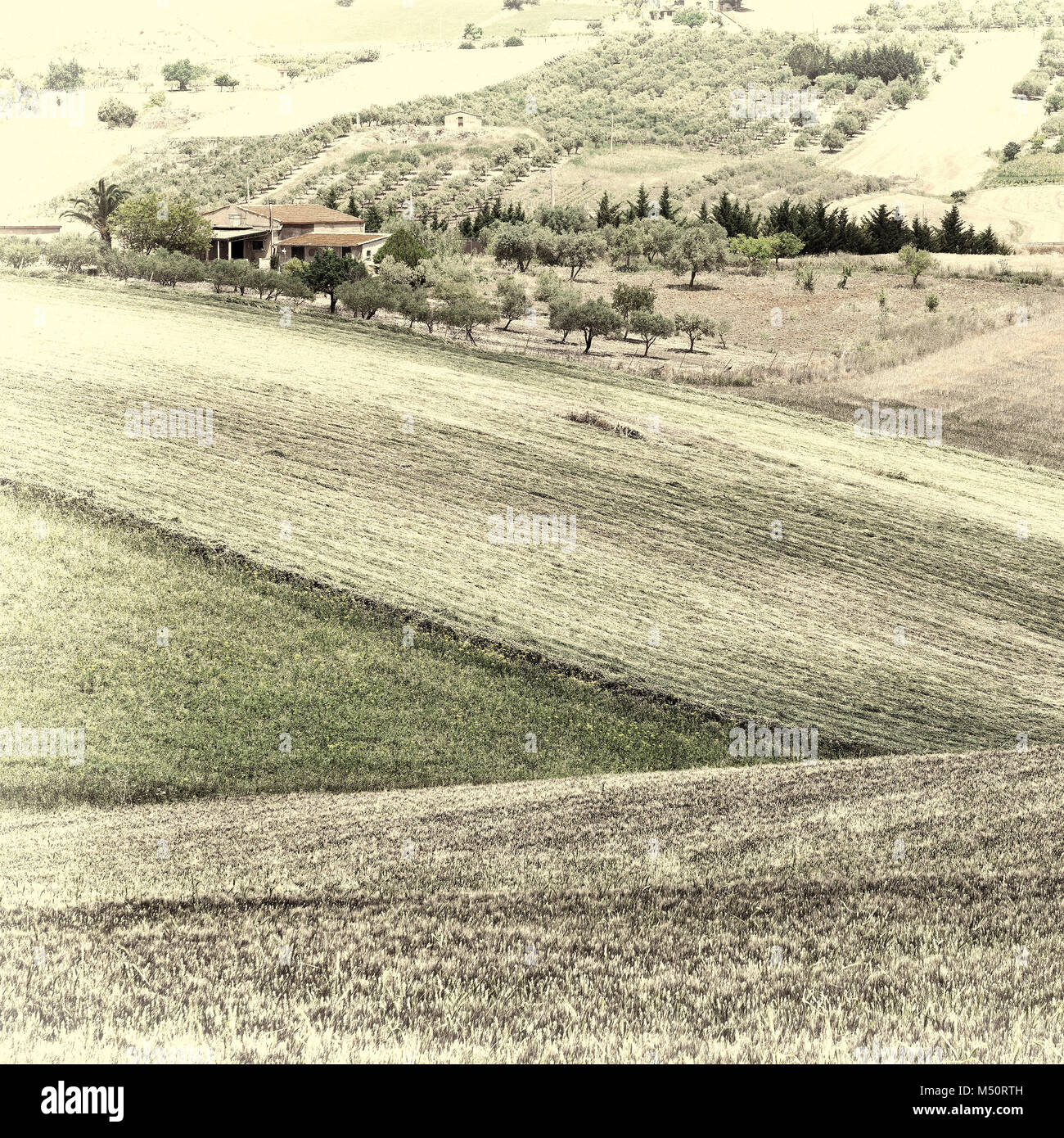 Stubble fields hi-res stock photography and images - Alamy