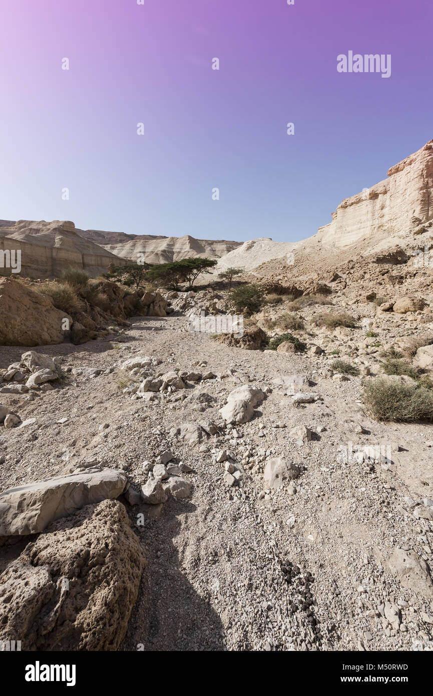 Stone desert in Israel Stock Photo - Alamy