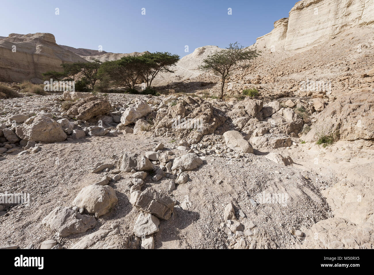 Stone desert in Israel Stock Photo - Alamy