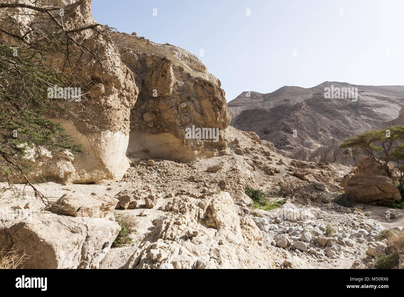 Desert lan hi-res stock photography and images - Alamy
