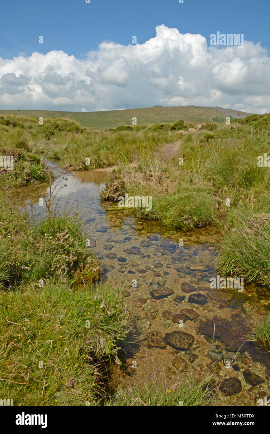 Taw Marsh, Dartmoor National Park, Devon Stock Photo - Alamy