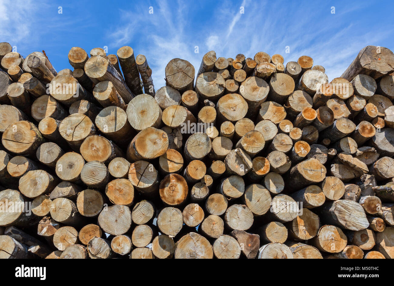 Stack of cut timber Stock Photo - Alamy
