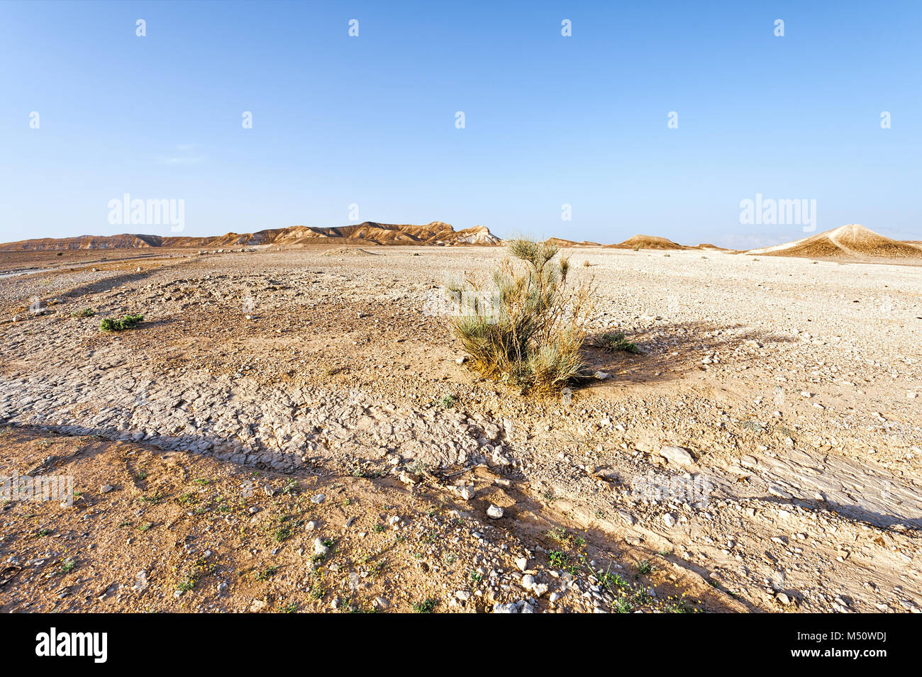 Negev Desert in Israel Stock Photo - Alamy