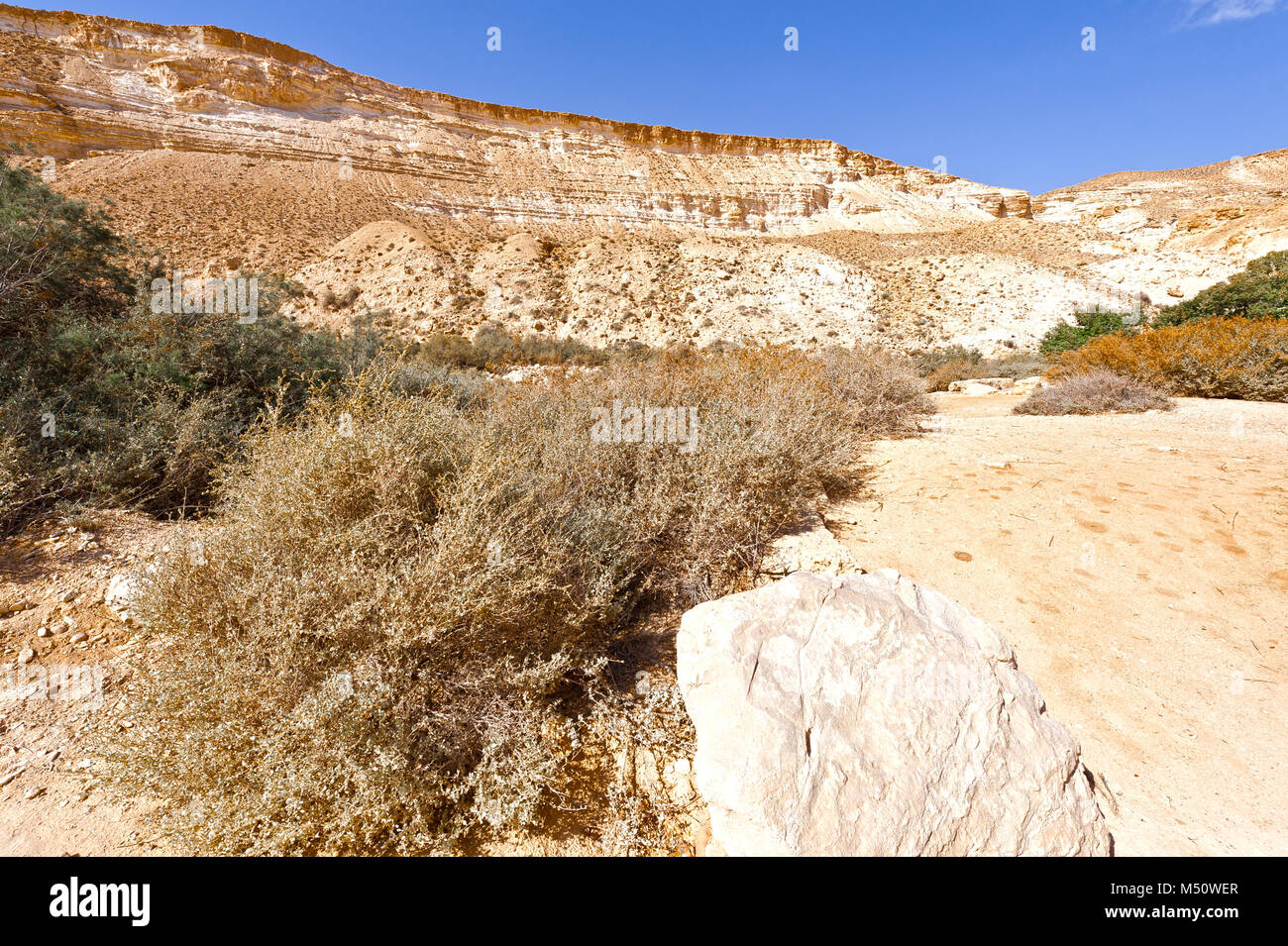 Negev Desert in Israel Stock Photo - Alamy