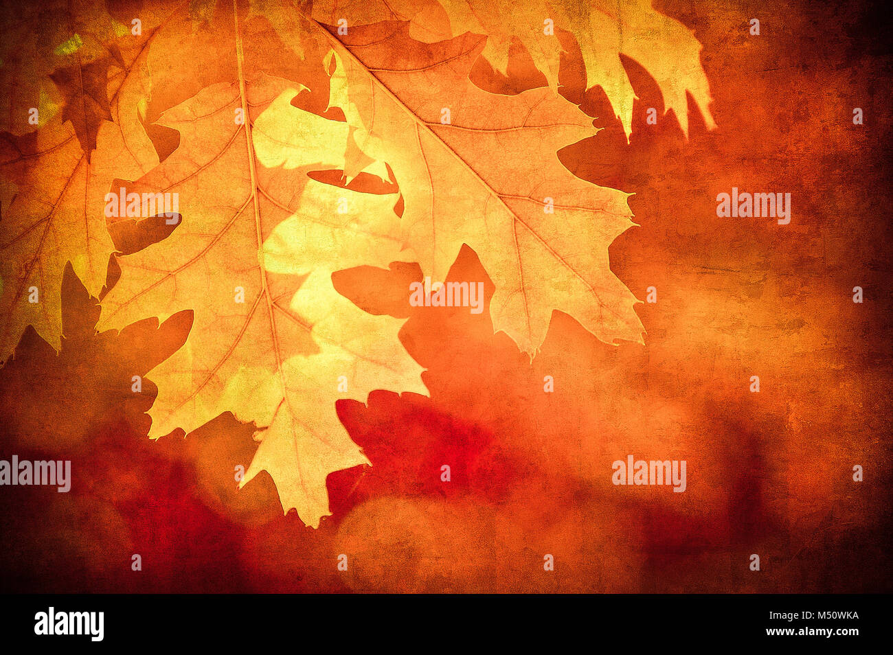 grunge background with autumn leaves Stock Photo - Alamy