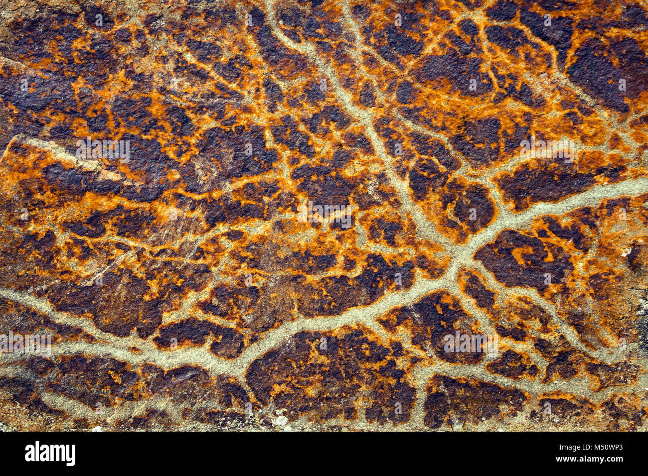 Patternd wall hi-res stock photography and images - Alamy