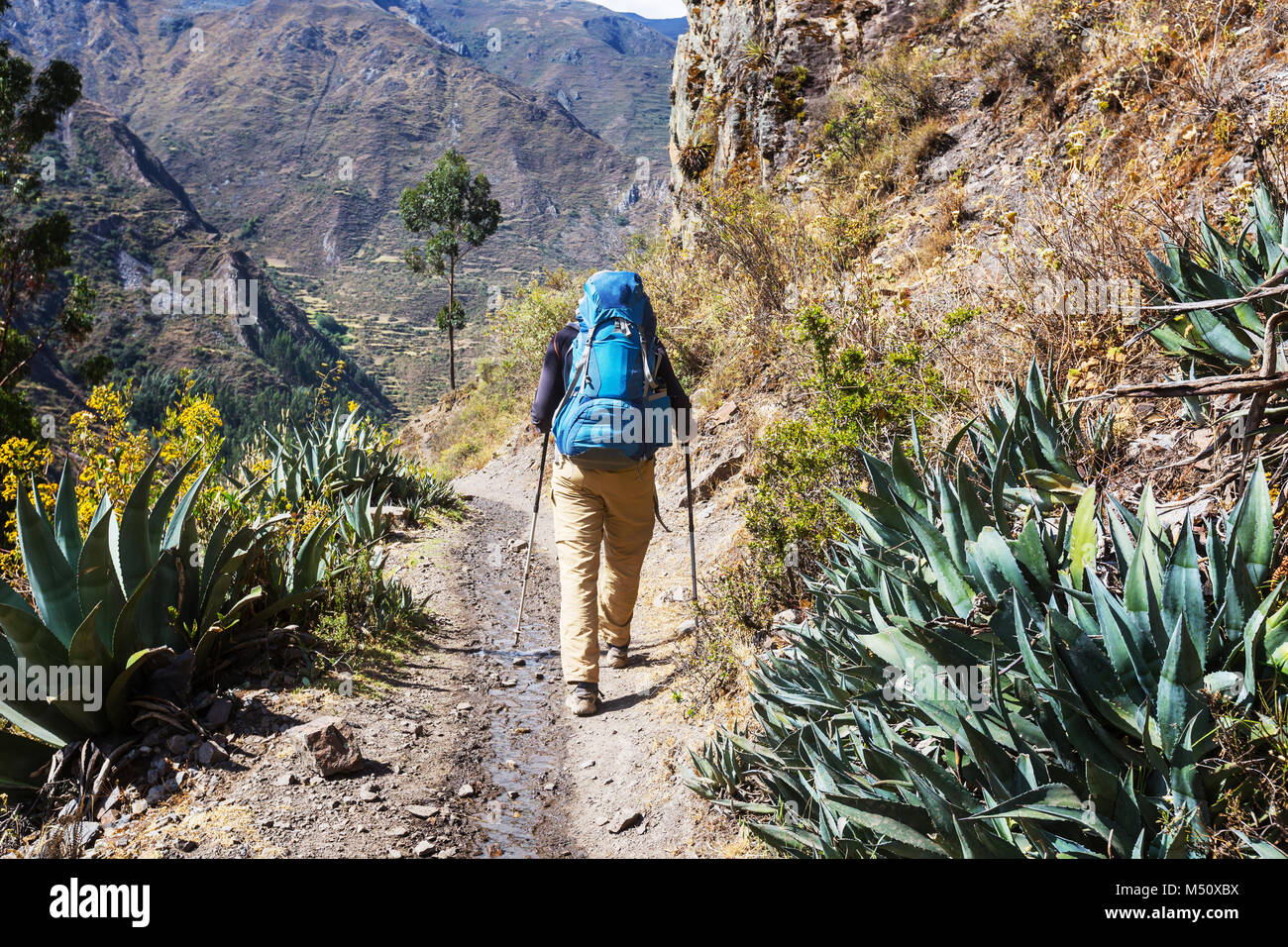 Hike in Peru Stock Photo - Alamy