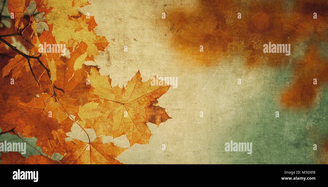 grunge background with autumn leaves Stock Photo - Alamy