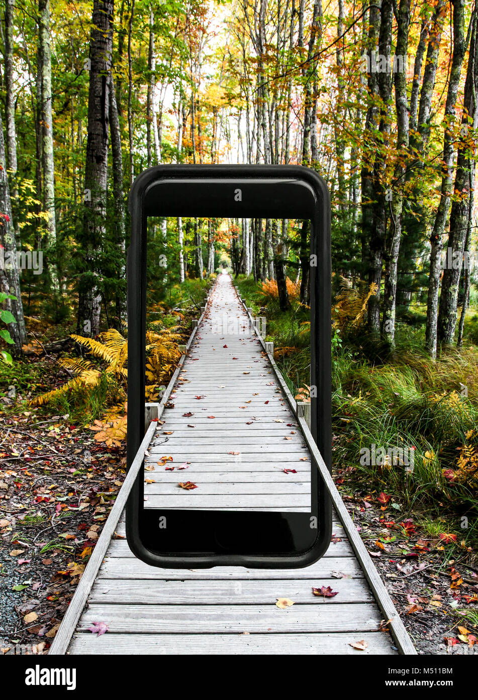 Outside the frame hi-res stock photography and images - Alamy