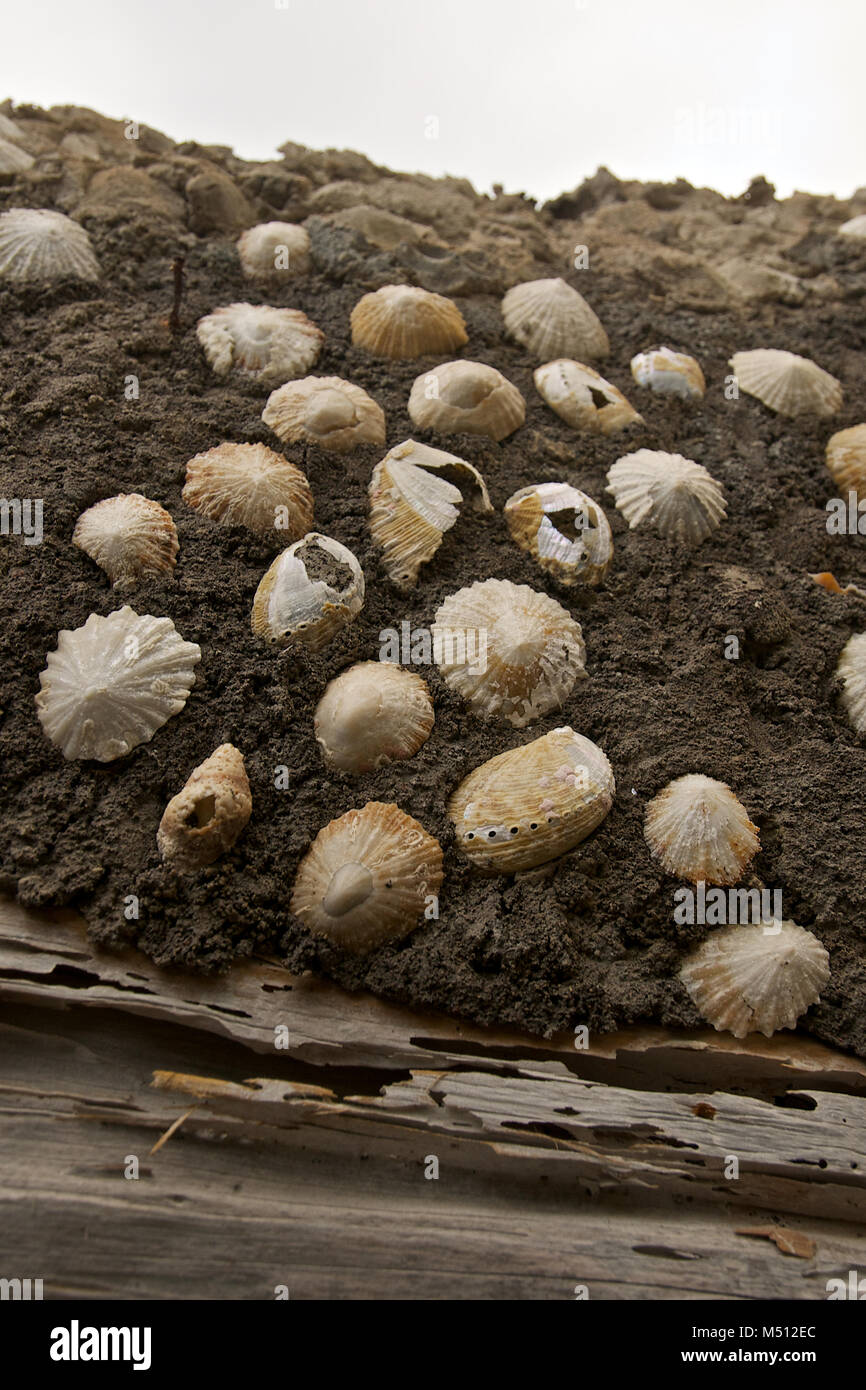 Detailed view of decorative seashells in a wall of Casa Rosa, an ...