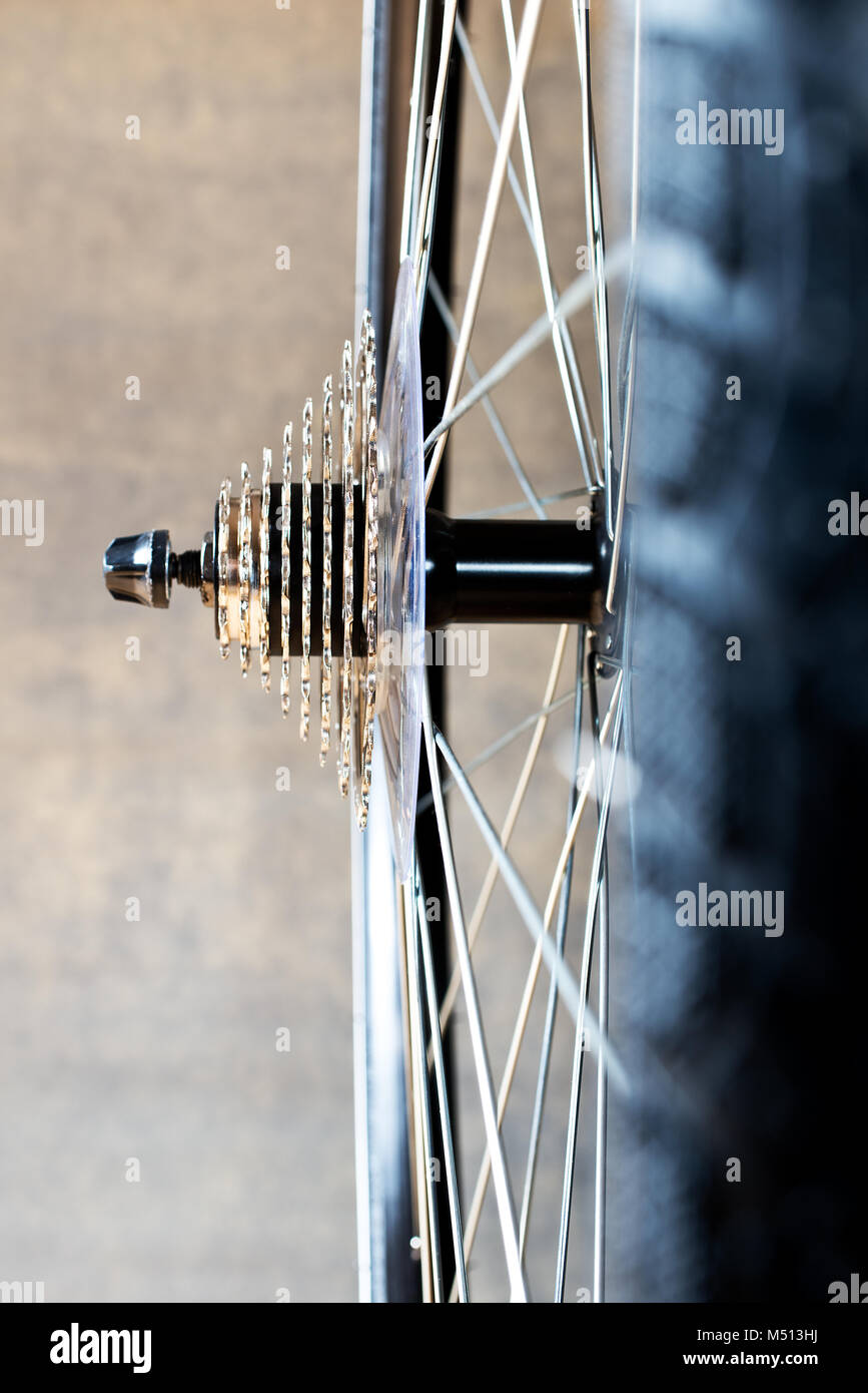 Ddetail of the rear wheel of new bicycle Stock Photo - Alamy