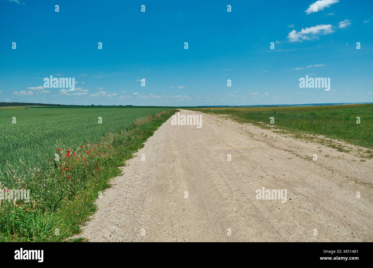 Belarusian Country road Stock Photo - Alamy
