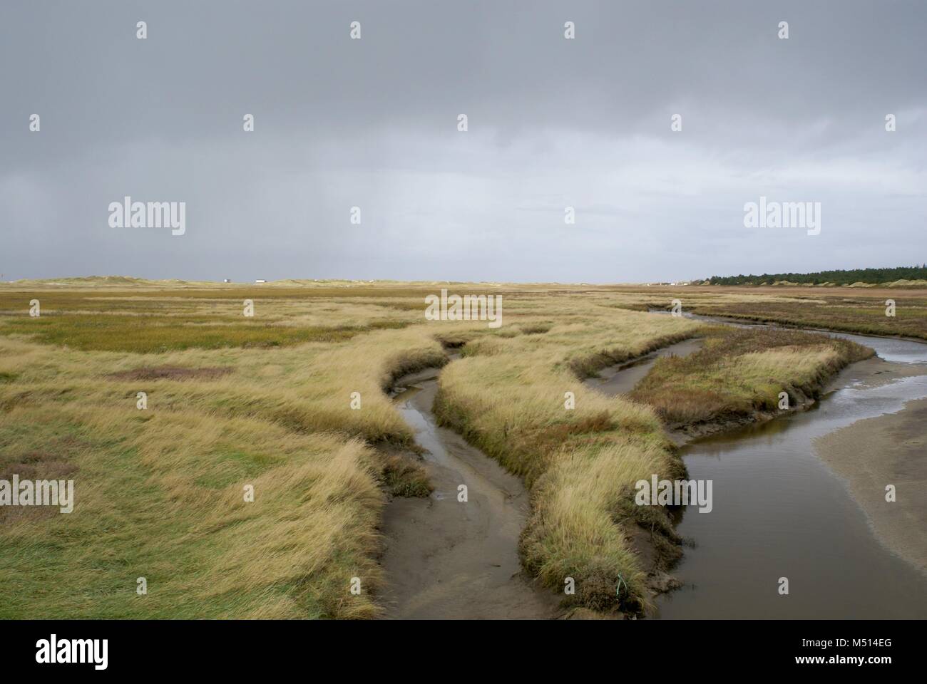 wadden sea and salt marshes in nordfriesland germany Stock Photo - Alamy
