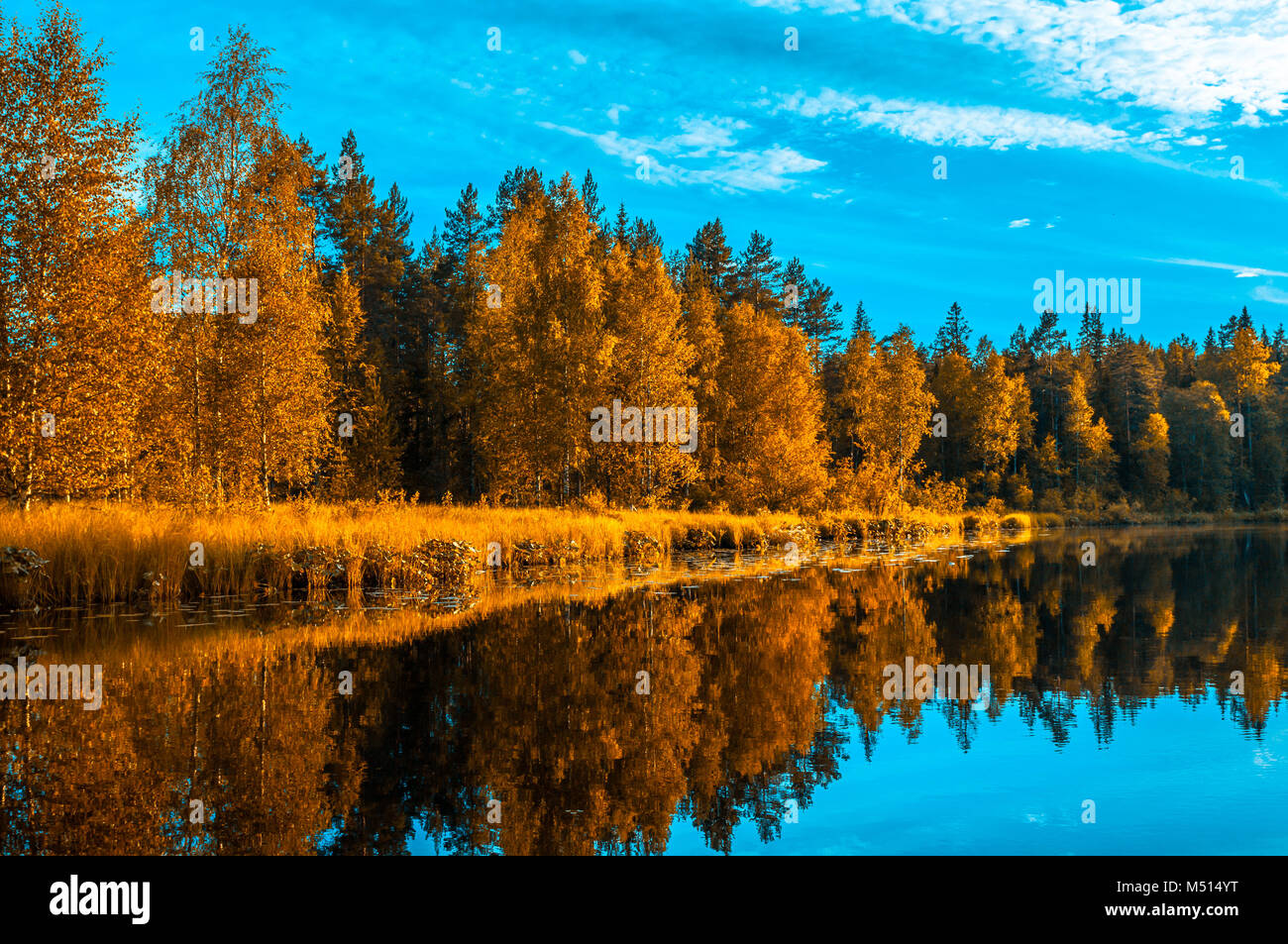 Perfect water ripple hi-res stock photography and images - Alamy