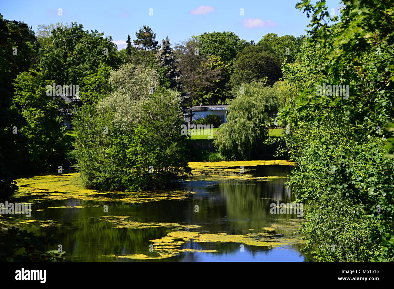 Grunewald hi-res stock photography and images - Alamy
