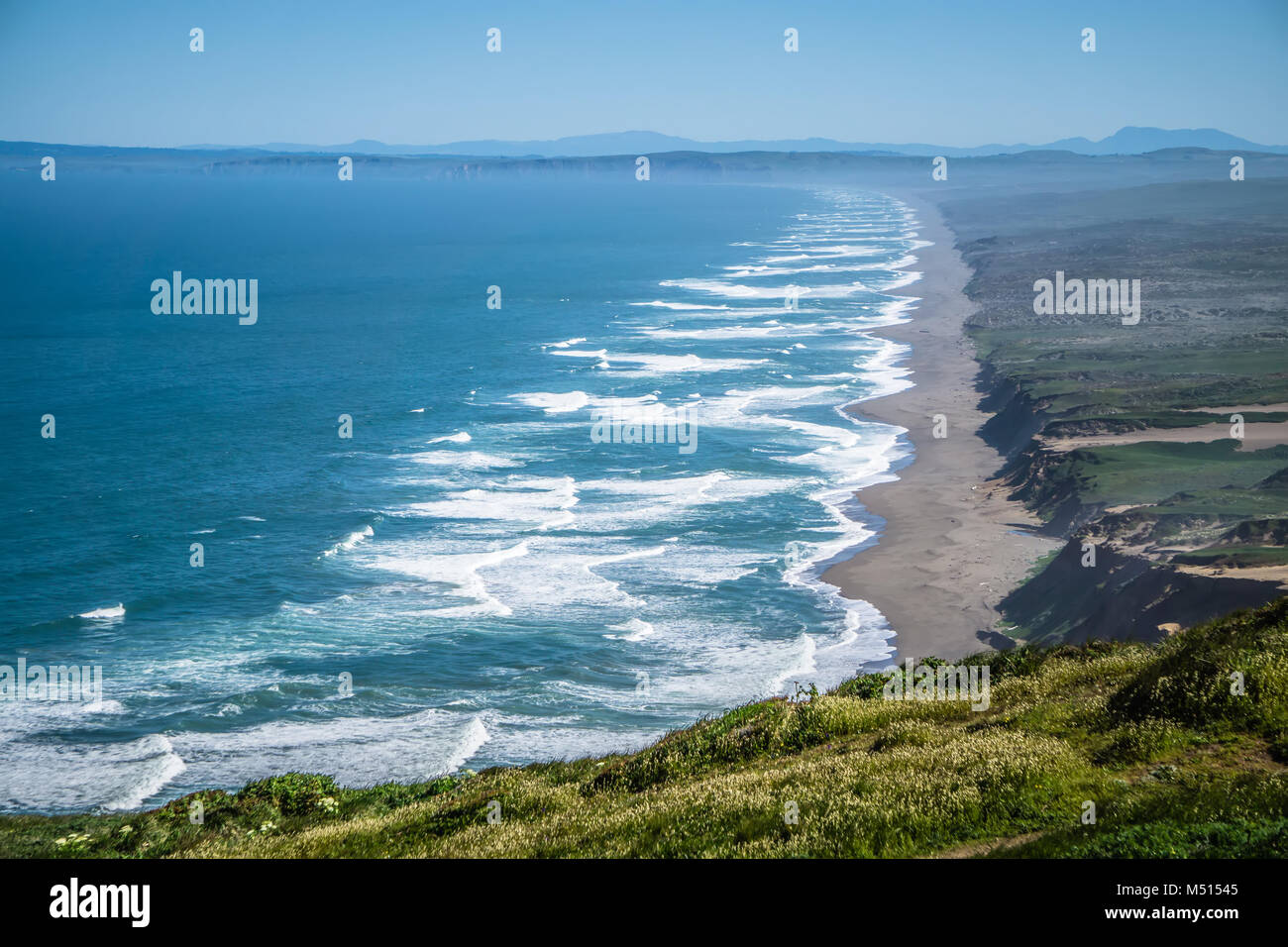 Point reyes wildlife hi-res stock photography and images - Alamy