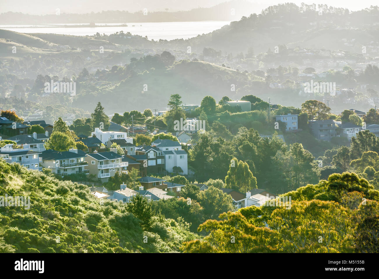 muir beach on pacific ocean coast in california Stock Photo - Alamy