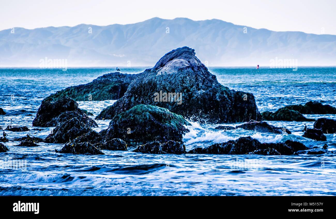 muir beach on pacific ocean coast in california Stock Photo - Alamy