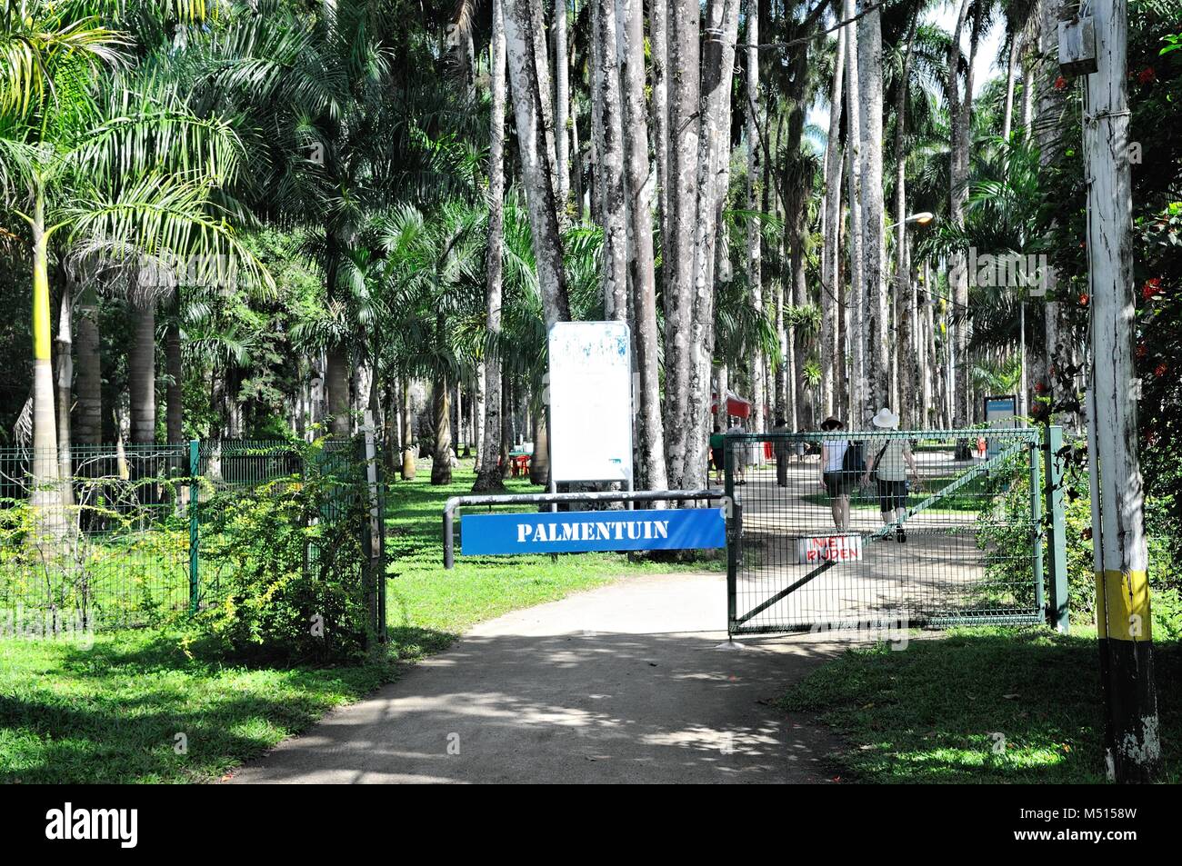 Palmentuin Paramaribo Suriname Stock Photo - Alamy