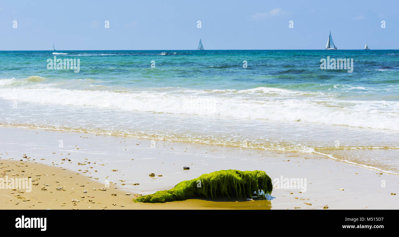 Mediterranean sea in Israel Stock Photo - Alamy