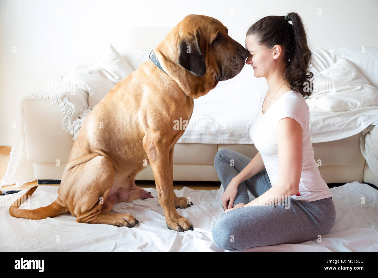 Beautiful young woman big dog hi-res stock photography and images - Alamy