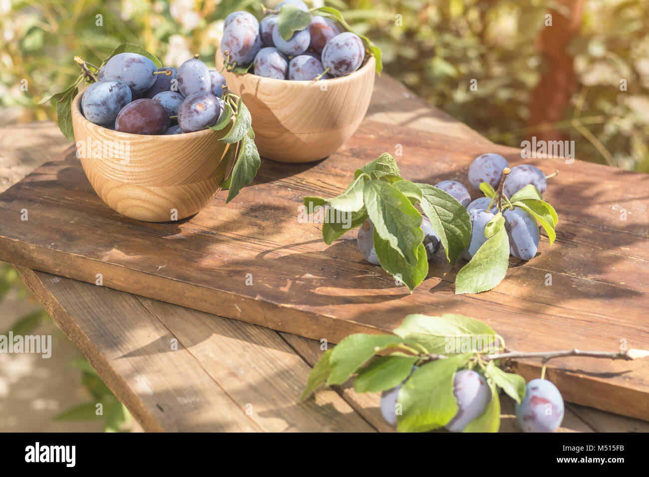 Fresh plums on wooden table in sunny day in garden Stock Photo - Alamy