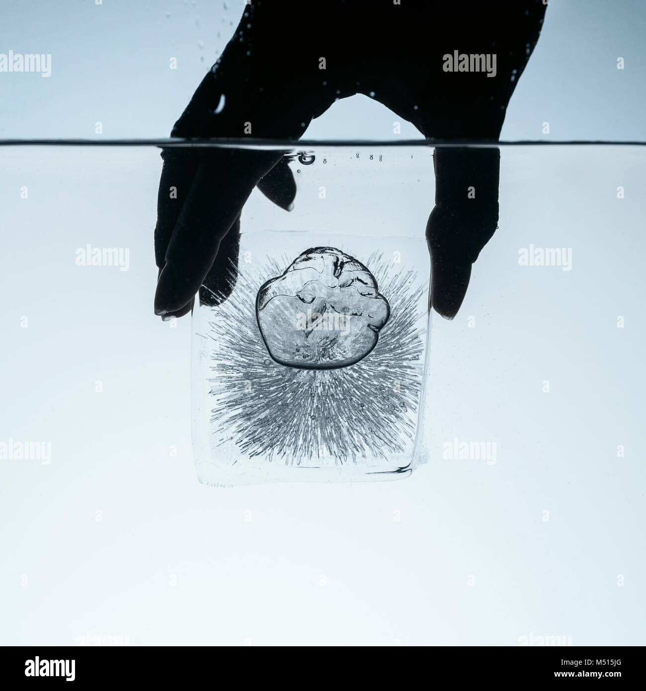 cropped view of person holding ice cube in water, isolated on white ...