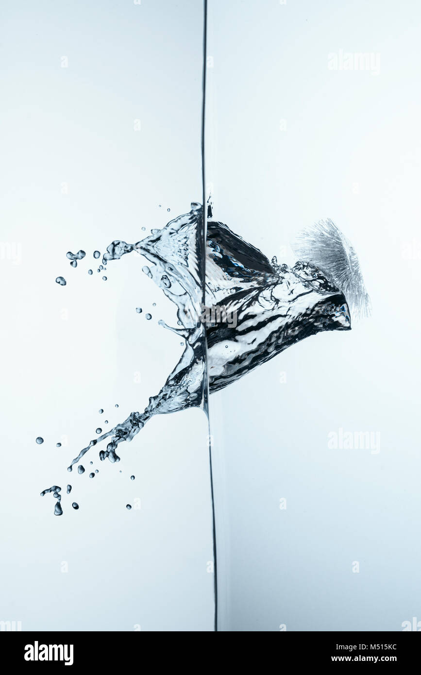 ice cube in pure water with splash and drops, isolated on white Stock ...