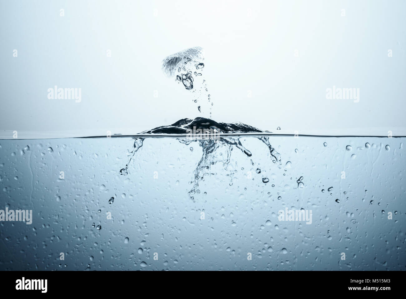ice cube in pure water with splash, isolated on white Stock Photo - Alamy