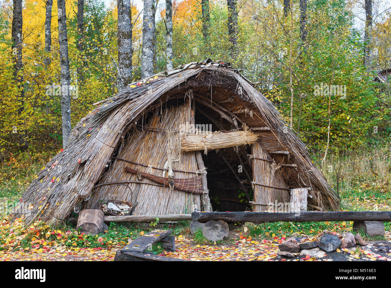 Stone Age hut of reeds in the woods Stock Photo - Alamy