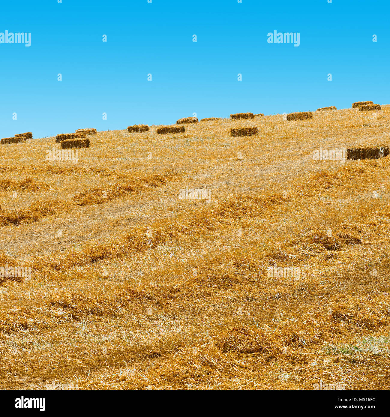 Hay pellets hi-res stock photography and images - Alamy