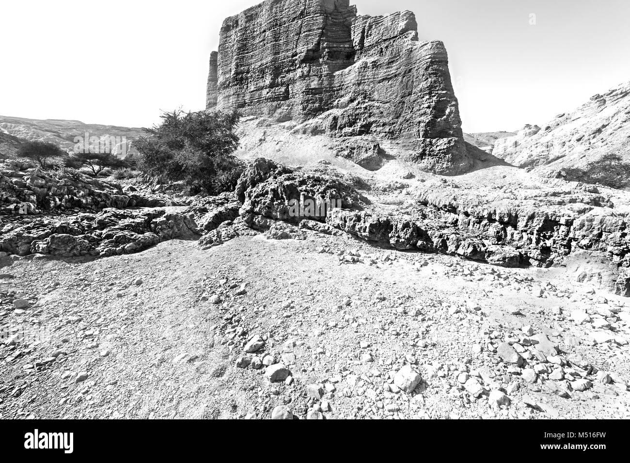 Stone desert in Israel Stock Photo - Alamy
