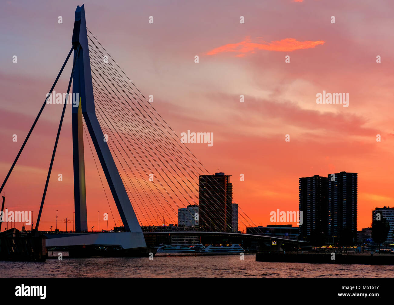 Rotterdam city cityscape with Erasmus bridge at sunset Stock Photo - Alamy