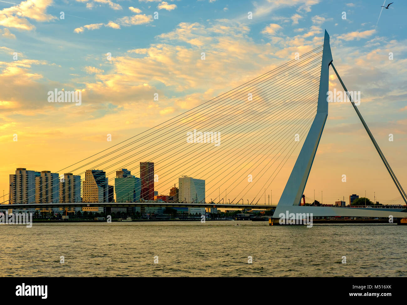 Rotterdam city cityscape with Erasmus bridge at sunset Stock Photo - Alamy