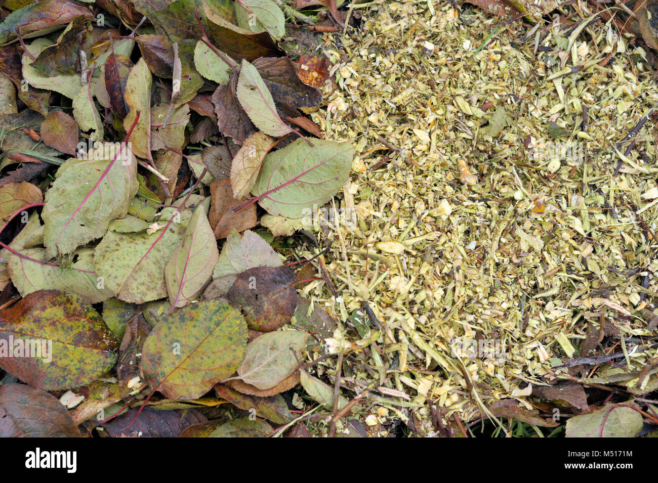 Recycling high carbon or brown woody garden waste, leaves and shredded ...